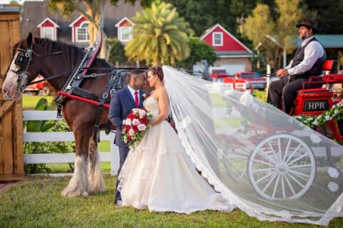 Central Florida Wedding Ranch Barn Venue | Orlando, FL