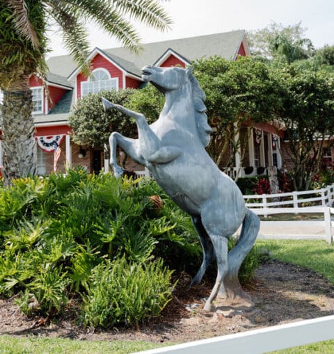 Wedding Packages | Horsepower Ranch Central Florida Rustic Wedding Venue